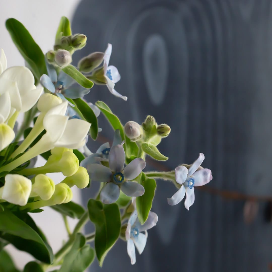 Arkut - Hautaustoimisto Autio